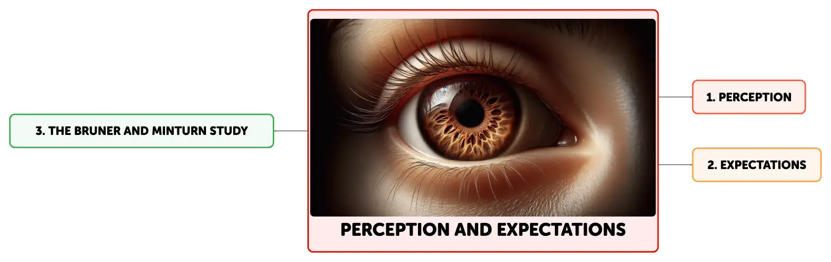 Perception and Expectations | Algor Cards