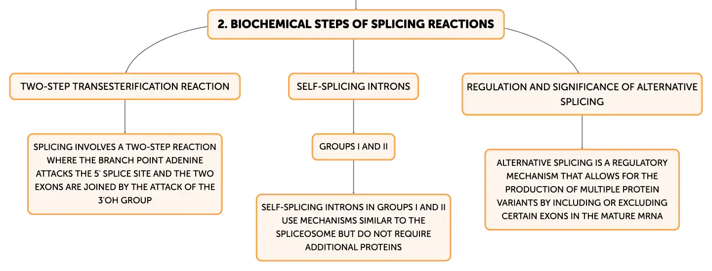 alternative rna splicing involves