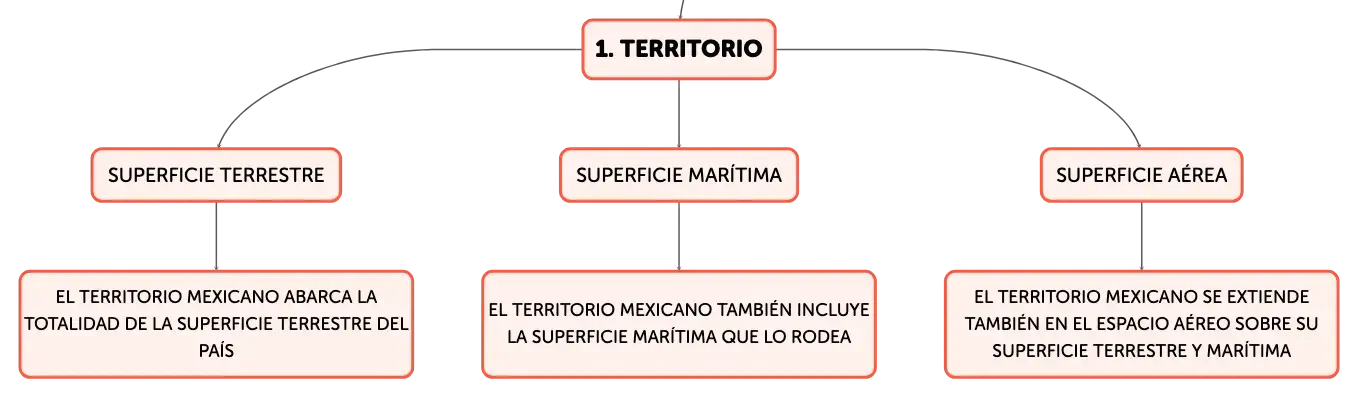 Estructura y Fundamentos del Estado Mexicano | Algor Cards