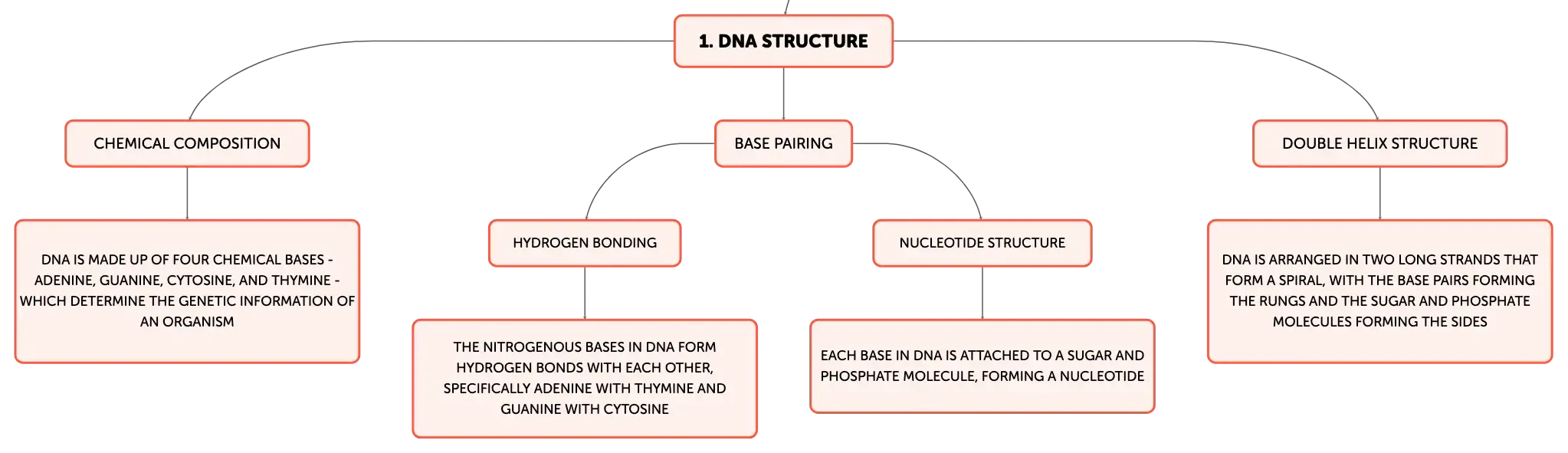thymine dna function