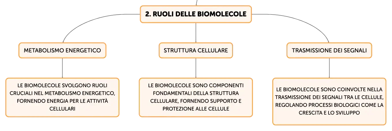 Classificazione e Proprietà delle Biomolecole | Algor Cards